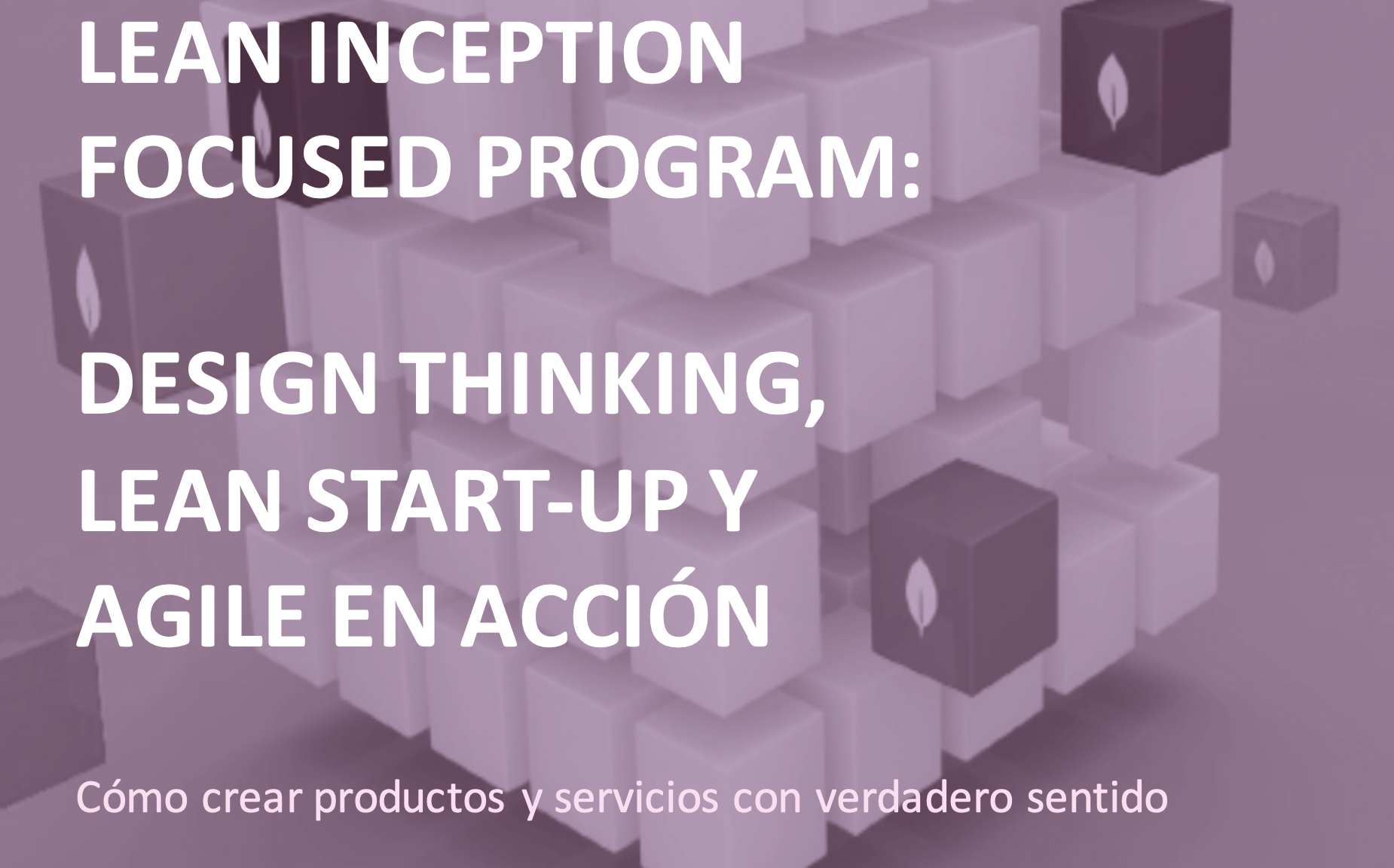 Kurs: Lean Inception Focused Program Design Thinking, Lean Start-Up und ...